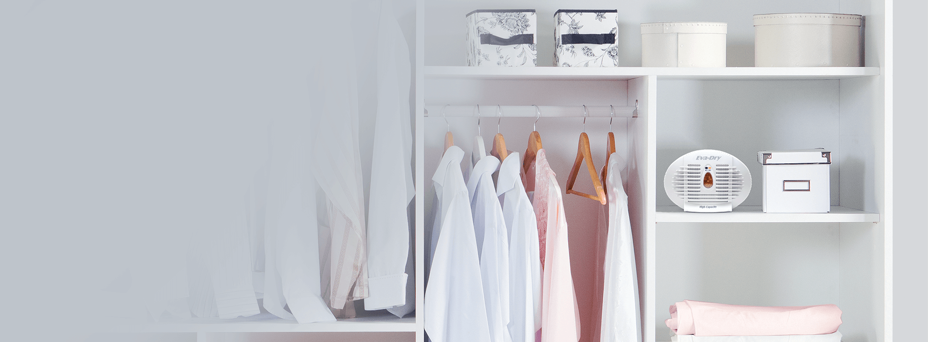 Portable Mini Dehumidifiers | Eva-Dry Official Website