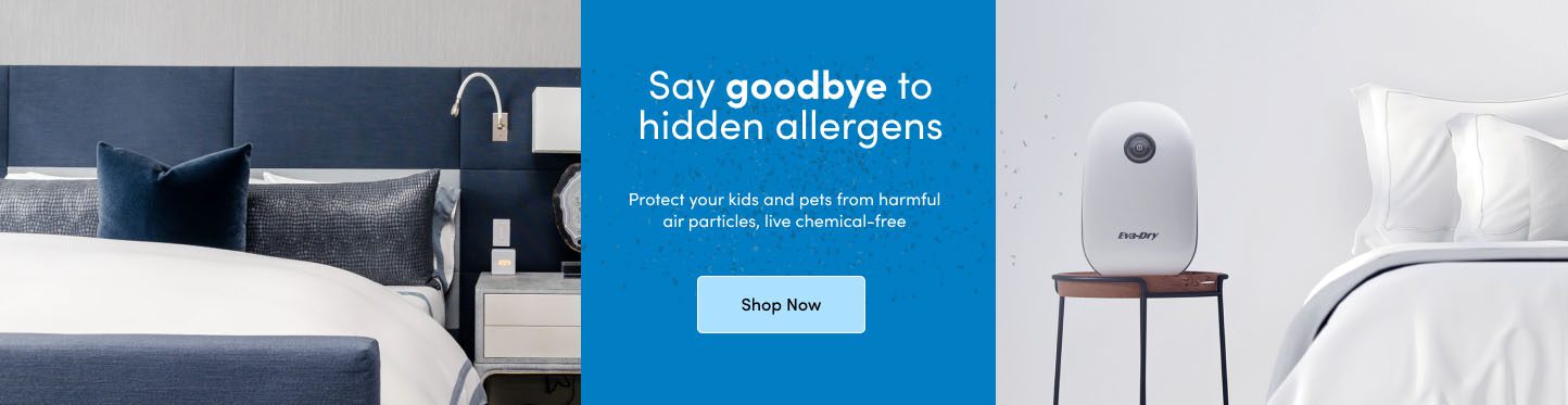 Powerful Portable Dehumidifiers | Eva-Dry Official Website